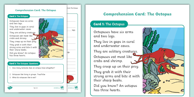Octopus Reading Resources | twinkl.co.uk