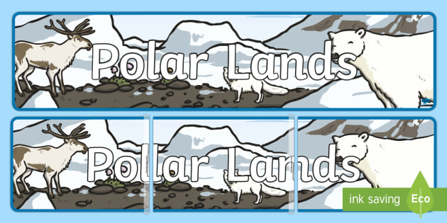 Polar Lands Display Banner (teacher made)