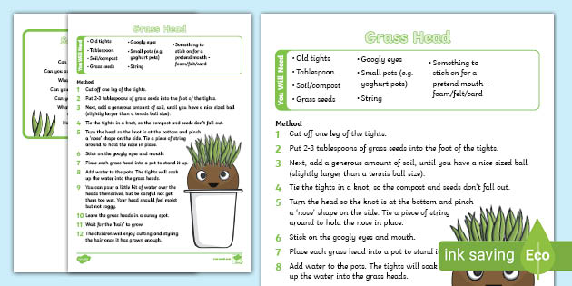 Grass Head Science Experiment (teacher made)