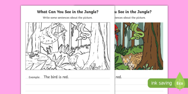 Jungle Writing Stimulus Picture (teacher made)