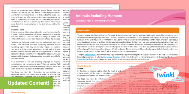 FREE! - Science: Animals Including Humans Year 6 Unit Planning Overview
