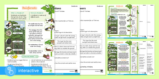 Interactive Rainforests Reading Comprehension PDF