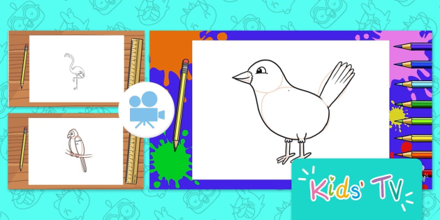 Easy Animal Drawings | twinkl.co.uk