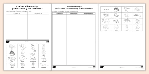 Hojas De Trabajo Sobre La Cadena Alimentaria Y La Red Alimentaria ...