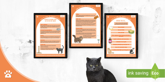 How to Find the Perfect Cattery Information Sheet - Pets