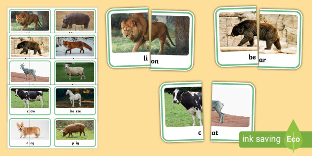 Animal Halves Photo Matching Game (teacher made)