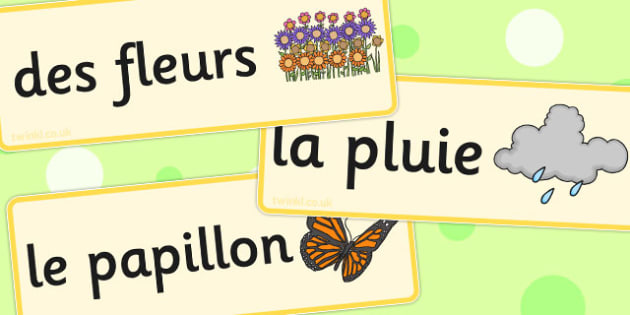 French Spring Word Cards (teacher made)