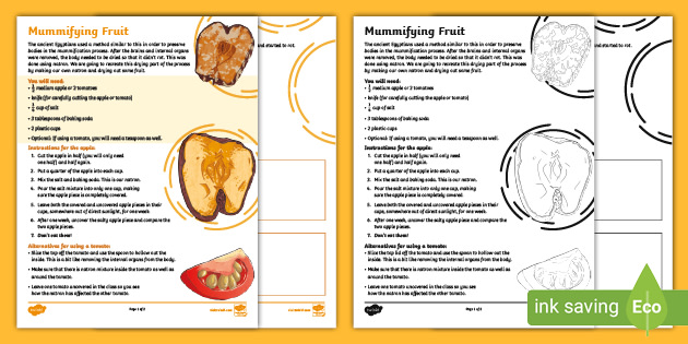Mummifying Fruit Activity (teacher made)