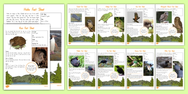 NZ Birds Fact File (teacher made)
