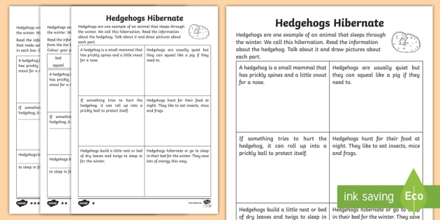 The Story of the Hedgehog Differentiated Worksheet / Worksheets