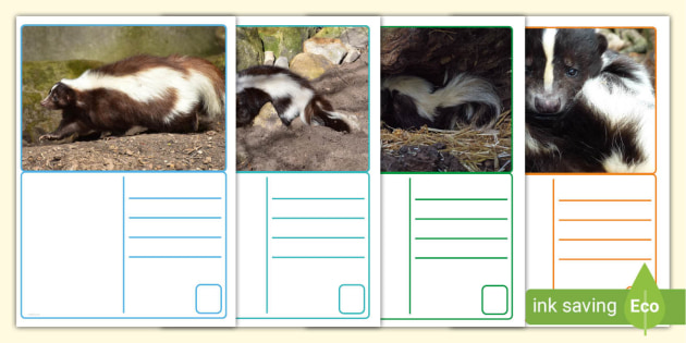 FREE! - Skunk Themed Postcards (teacher made)