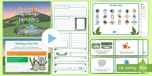 All About Bog Things Fact File Resource Pack