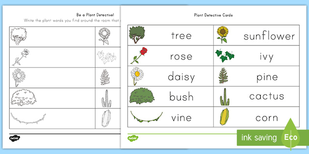Plants Read and Write the Room Activity