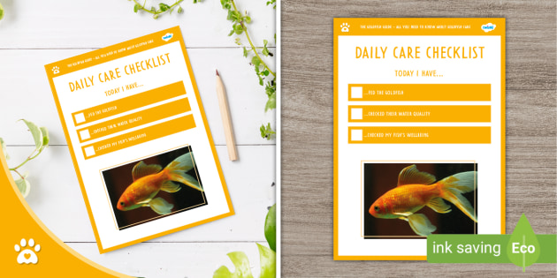 Goldfish Care - Daily Checklist - Fish Care - Twinkl Pets