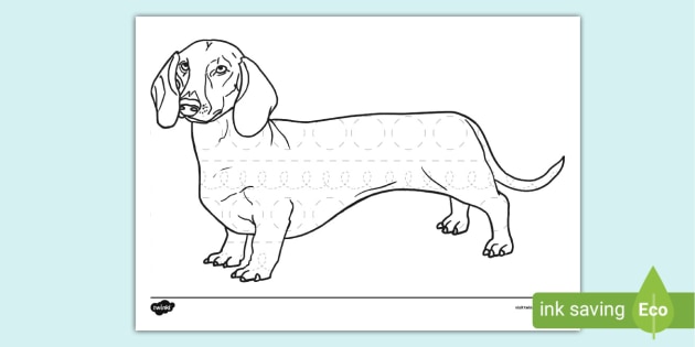 * NEW * Dachshund Mindfulness Colouring Sheet