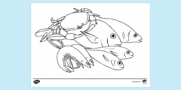 FREE! - Seafood Colouring | Colouring Sheets (teacher made)