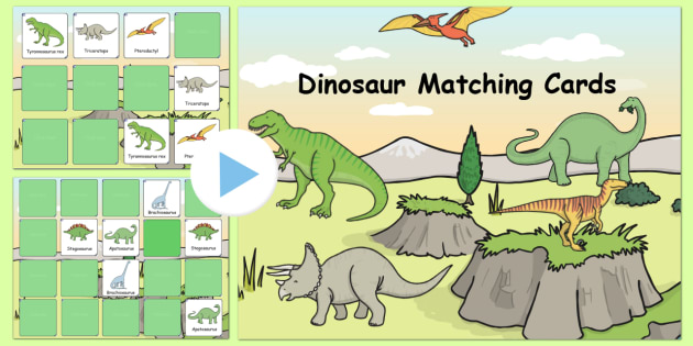 Dinosaur Themed Matching Cards Activity Notebook - dinosaur