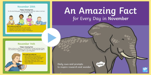 November Facts PowerPoint - Primary Resources (teacher made)