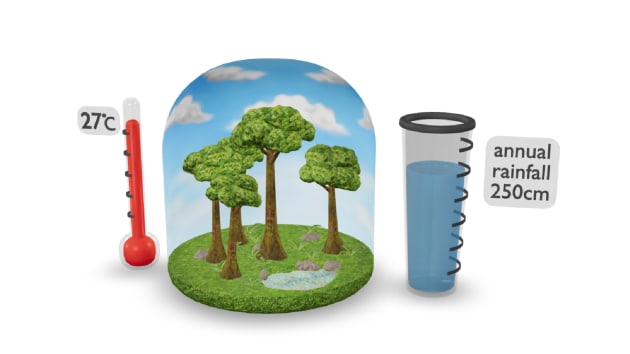 3D Model: Geography - Weather in a Tropical Climate