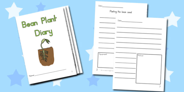 Bean Plant Diary Writing Frame (teacher made)
