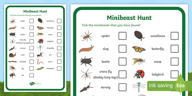 Minibeast Hunt Checklist (Teacher-Made)