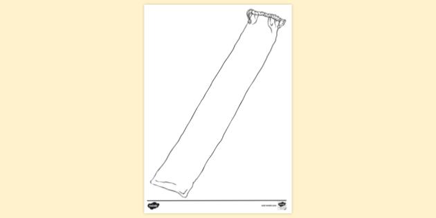 FREE! - Recorder Case Colouring Sheet | Colouring Sheet