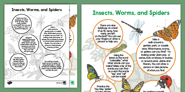 Insects, Worms, and Spiders Home Learning Challenges