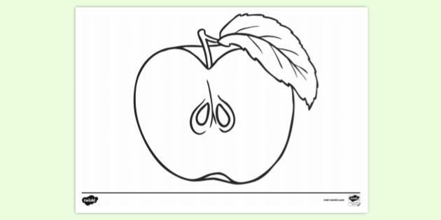 FREE! - Apple Cut in Half Colouring Sheet | Colouring Sheets