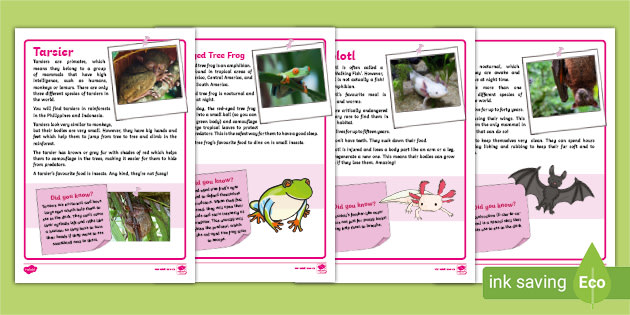 CBCA Book Week Curious Creatures, Wild Minds Fact Files