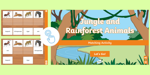 Interactive Jungle and Rainforest Animals Matching Activity