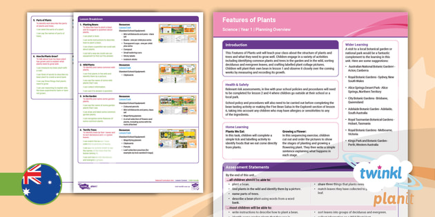 Year 1 Science Features of Plants Planning Overview