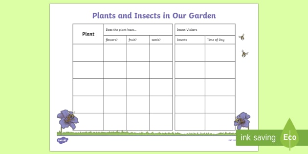 Garden Plants and Insects Record Sheet