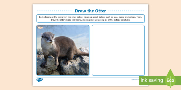 Draw the Otter Art Activity, Otter, Drawing (teacher made)
