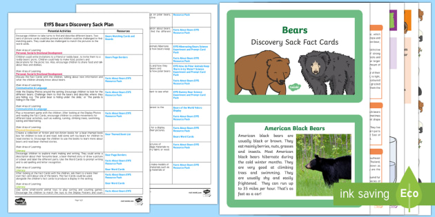 EYFS Bears Discovery Sack Plan and Resource Pack