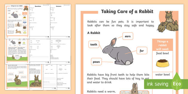 KS1 How to Look After a Rabbit Differentiated Reading Comprehension ...