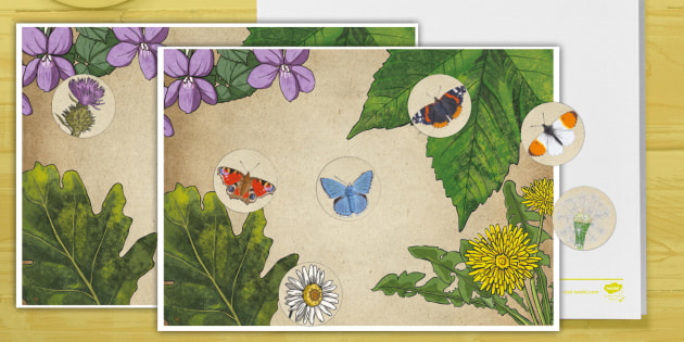 * NEW * Butterfly Education and Awareness Day - Butterflies Scene - Sticker