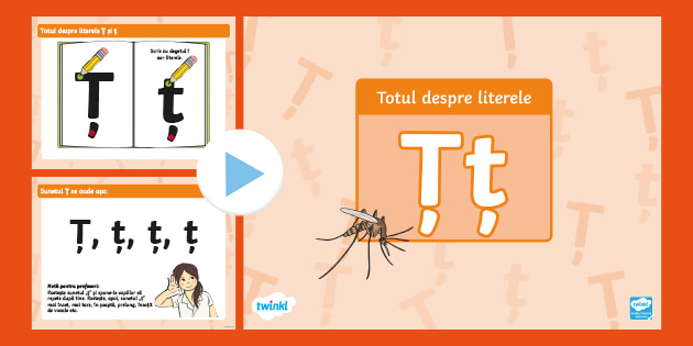 Totul despre litera Ț – Prezentare PowerPoint