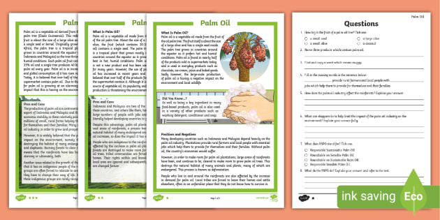 UKS2 Palm Oil Differentiated Reading Comprehension Activity