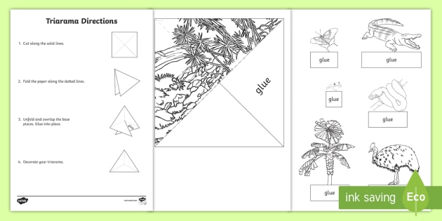 Australian Tropical Rainforest Habitat Triarama Worksheet / Worksheets