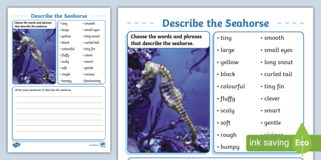 Describe the Seahorse Writing Frame,seahorse (teacher made)