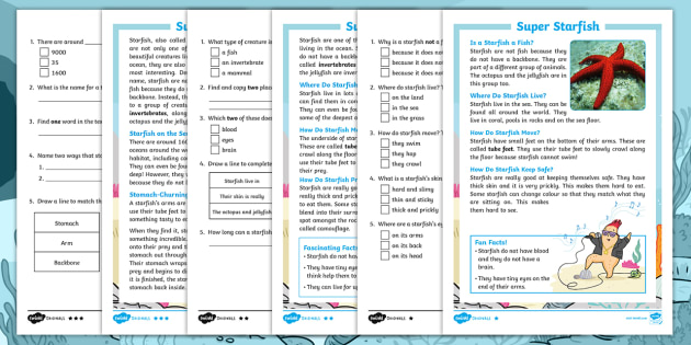 Starry Eyed Stan Super Starfish Differentiated Reading Comprehension ...