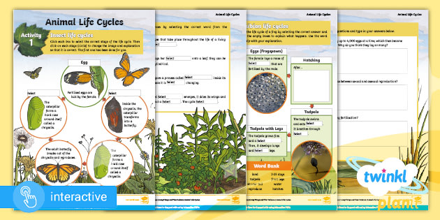 Interactive PDF: Home Learning: Science: Year 5: Animal Life Cycles