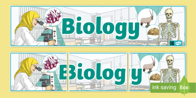 Biology Display Banner (teacher made)