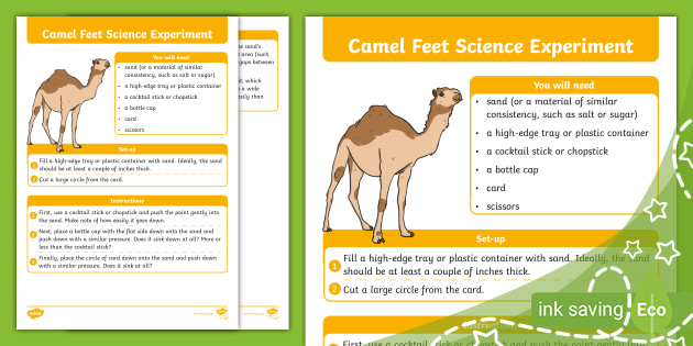 Camel Feet Science Experiment (teacher made)