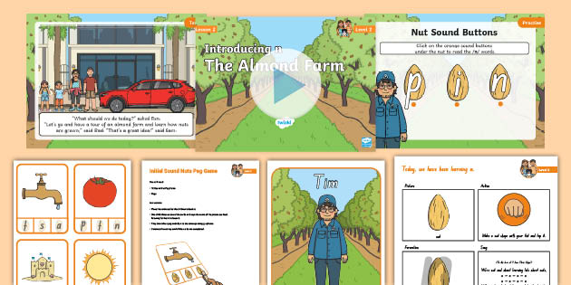 Twinkl Phonics Level 2 Week 2 Lesson 2 'n' Lesson Pack