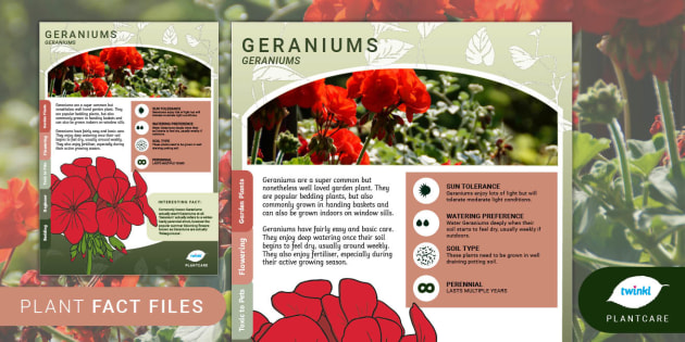FREE! - Garden Plant Fact File: Geraniums, Plantcare, Plants, Garden