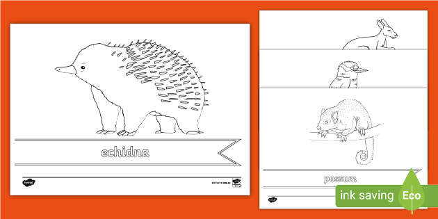 Australian Bush Colouring Activity (creat de profesori)