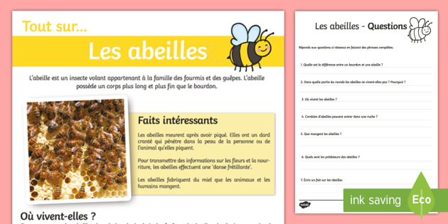 Compréhension écrite : Les abeilles