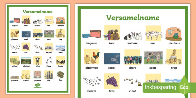 Versamelname Plakkaat (teacher made)