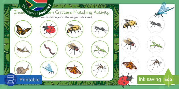 Insects and Garden Critters Matching Activity (teacher made)